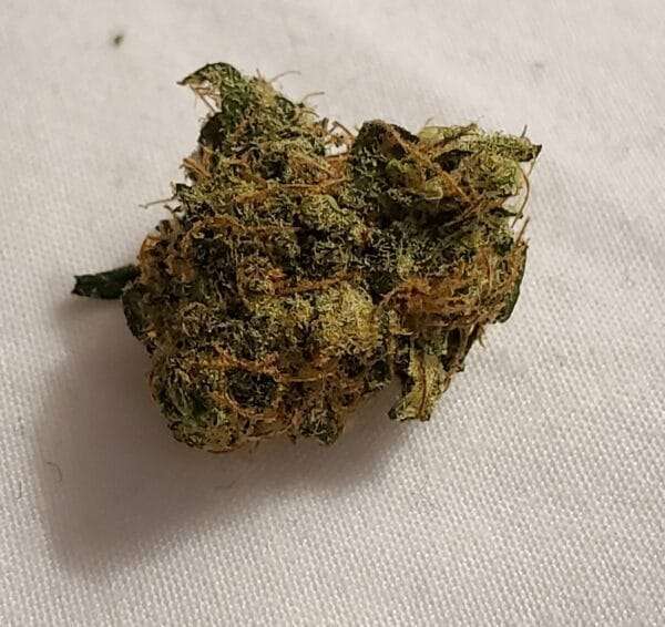 Second Zen Leaf Location Opens In Neptune 16th Dispensary In New Jersey second-zen-leaf-location-opens-in-neptune-16th-dispensary-in-new-jersey